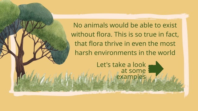 Lesson 4-Flora FaunaLesson 4-Flora FaunaLesson 4-Flora FaunaLesson 4 ...