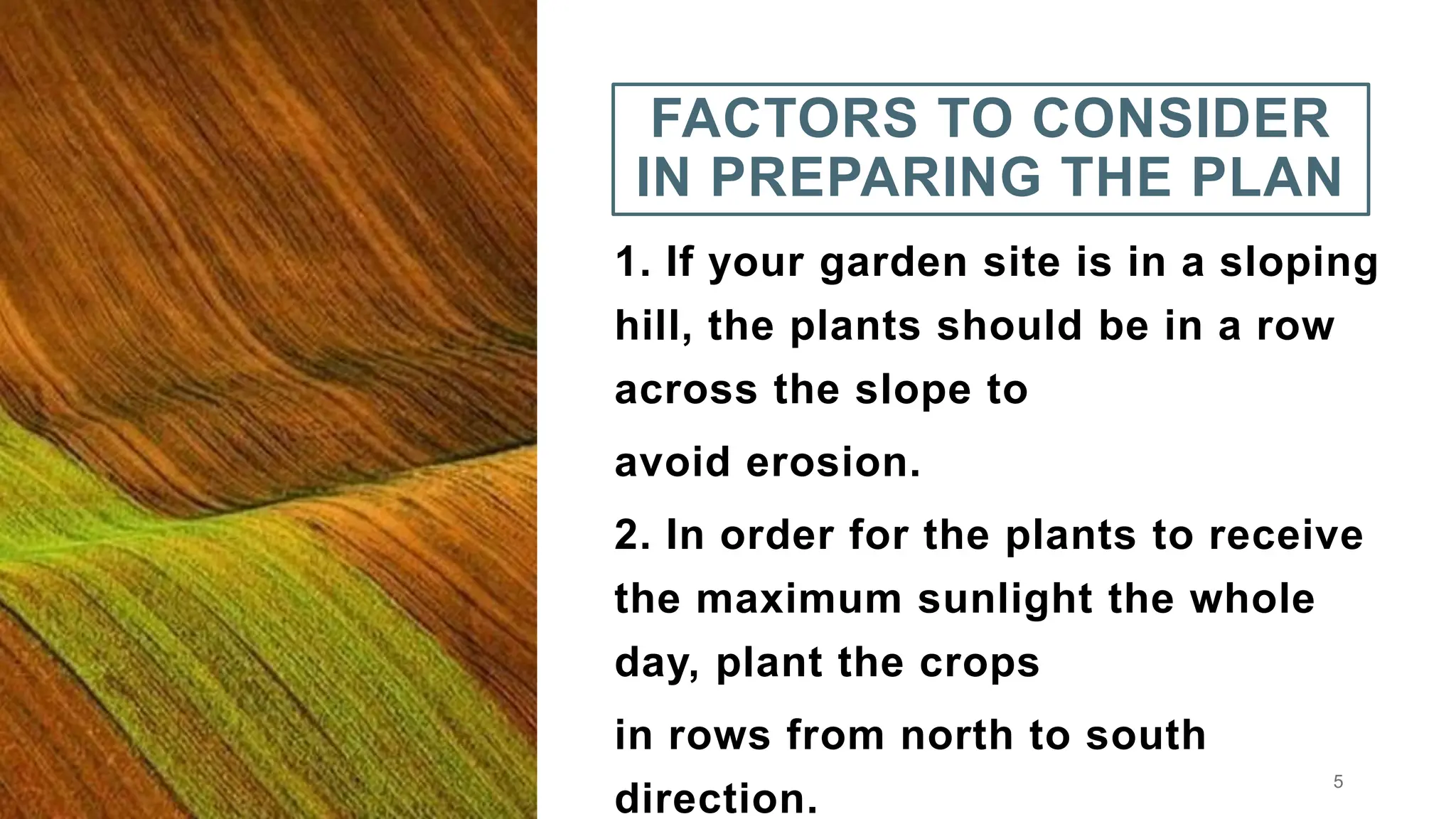 LESSON 4- INTERPRET FARM PLANS AND DRAWING.pptx