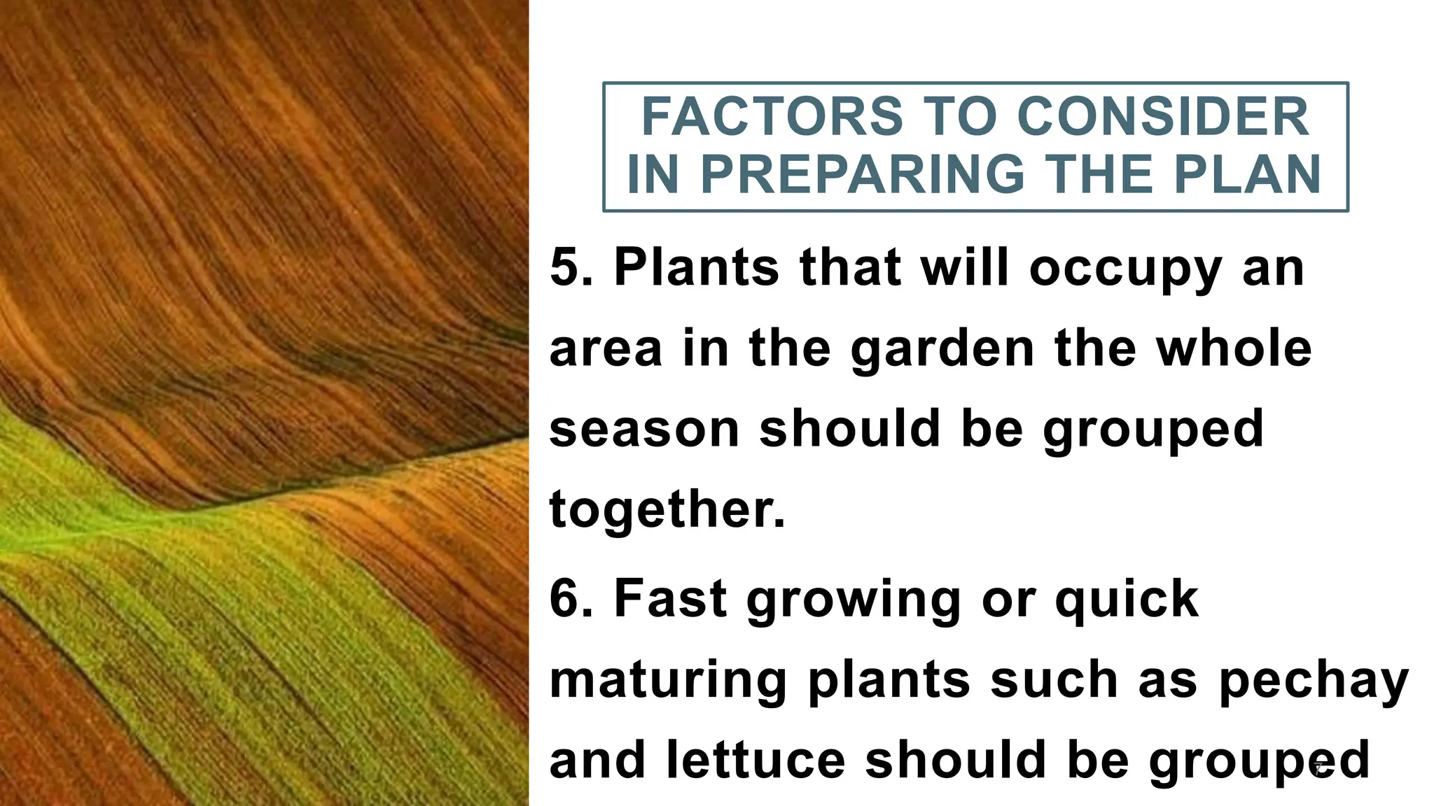 LESSON 4- INTERPRET FARM PLANS AND DRAWING.pptx