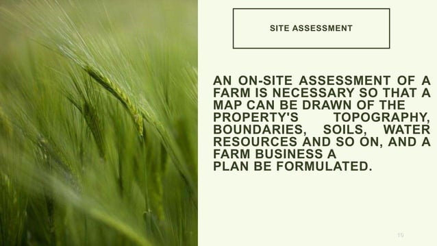 LESSON 4- INTERPRET FARM PLANS AND DRAWING.pptx