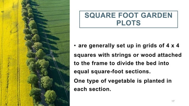 LESSON 4- INTERPRET FARM PLANS AND DRAWING.pptx