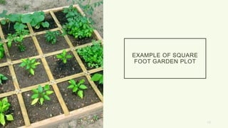 LESSON 4- INTERPRET FARM PLANS AND DRAWING.pptx