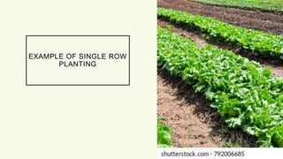 LESSON 4- INTERPRET FARM PLANS AND DRAWING.pptx