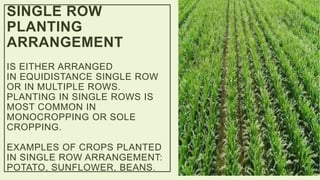 LESSON 4- INTERPRET FARM PLANS AND DRAWING.pptx