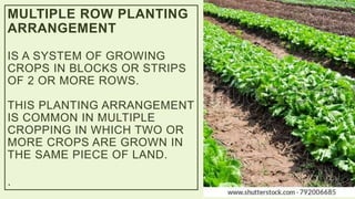 LESSON 4- INTERPRET FARM PLANS AND DRAWING.pptx