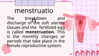 LESSON 4- MENSTRUAL CYCLE FOR GRADE 10.pptx