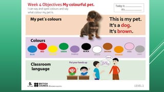 my coloured pets | PPTX