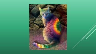 my coloured pets | PPT