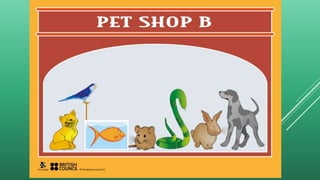 my coloured pets | PPTX