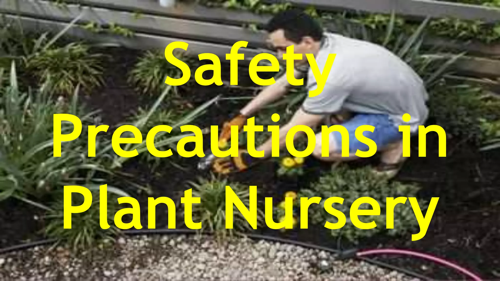 Lesson 4-Nursery Tools and Safety Precautions.pptx