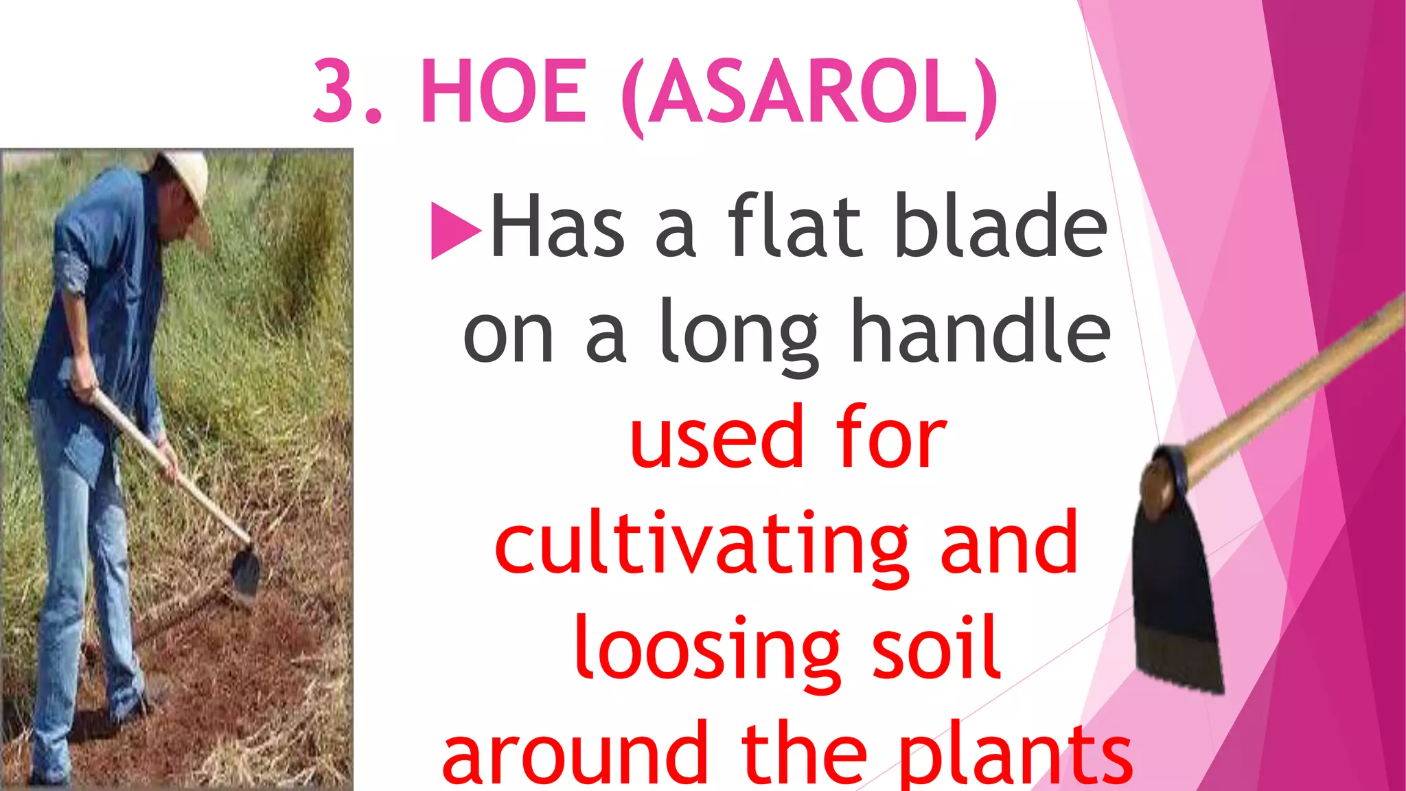 Lesson 4-Nursery Tools and Safety Precautions.pptx