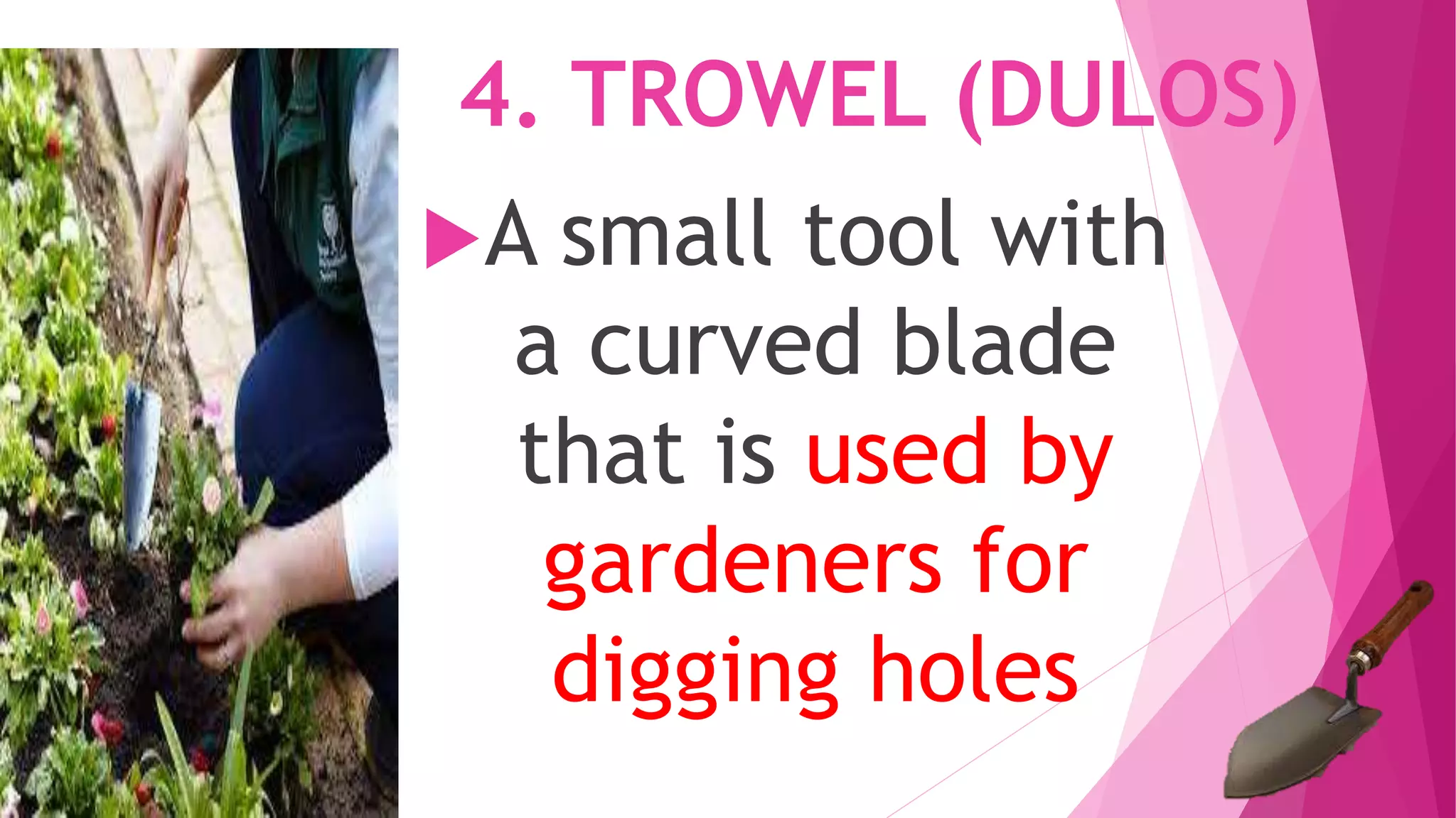 Lesson 4-Nursery Tools and Safety Precautions.pptx