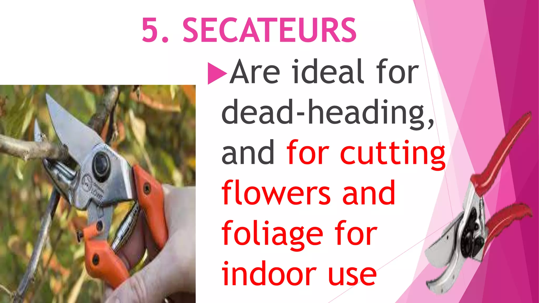 Lesson 4-Nursery Tools and Safety Precautions.pptx