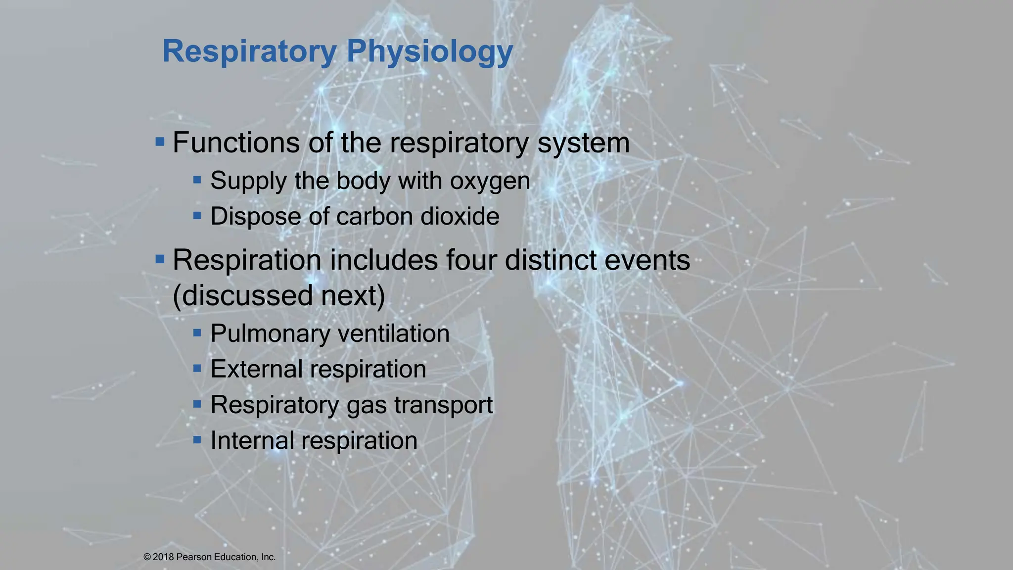 Lesson 4-Respiratory System.ppt/nkk.hvjgvxhfxhjbvhjcghvhx | PPTX