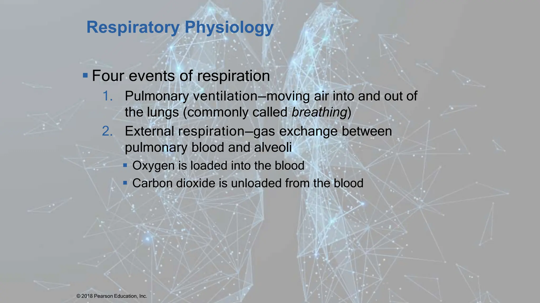 Lesson 4-Respiratory System.ppt/nkk.hvjgvxhfxhjbvhjcghvhx | PPTX
