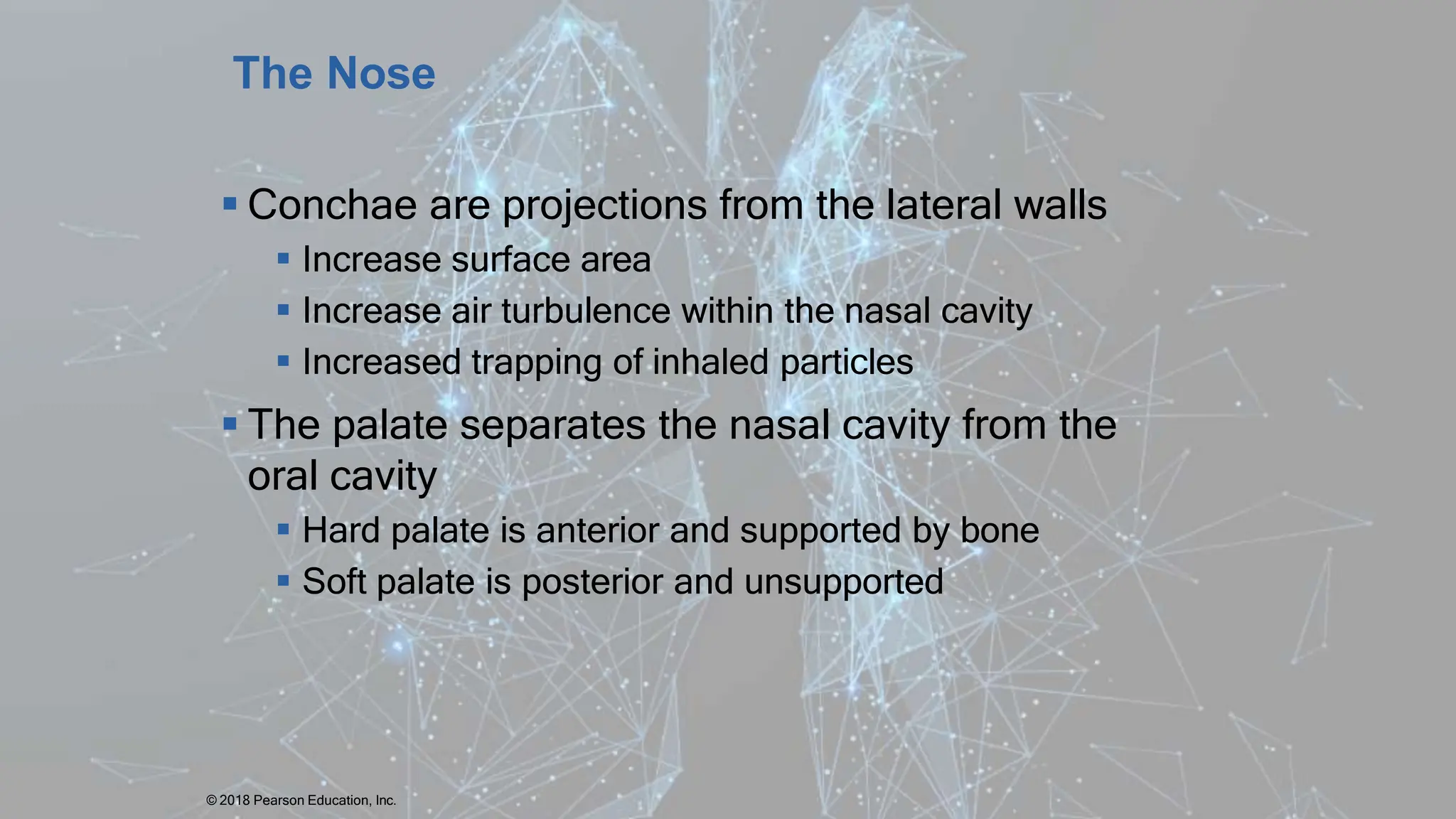 Lesson 4-Respiratory System.ppt/nkk.hvjgvxhfxhjbvhjcghvhx | PPTX