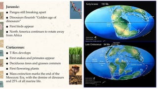 Lesson 4 - The History of Earth ( UPDATED).pptx