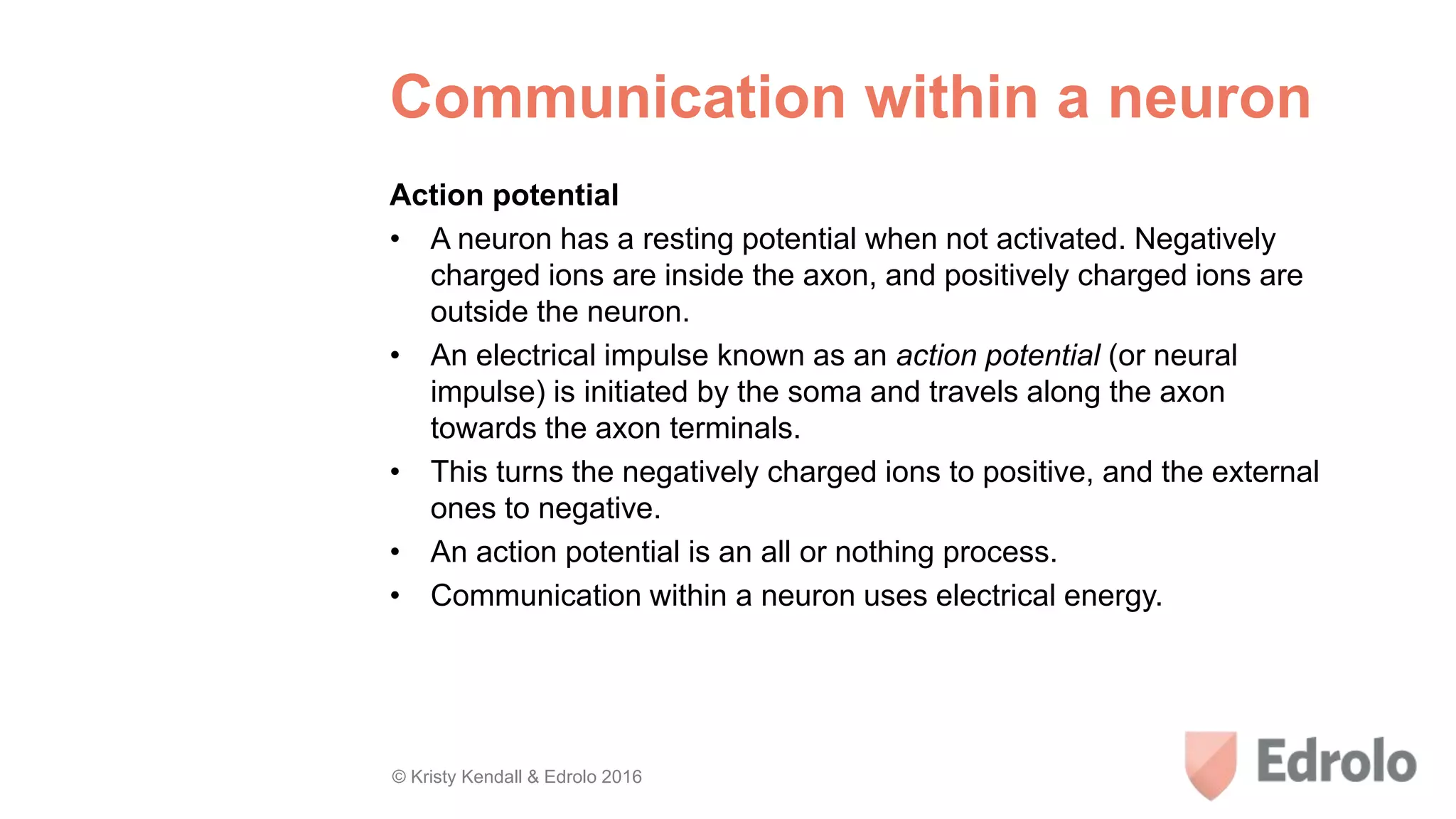 Lesson 4 the neuron | PPTX