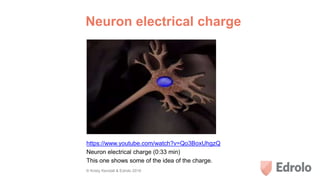 Lesson 4 the neuron | PPTX