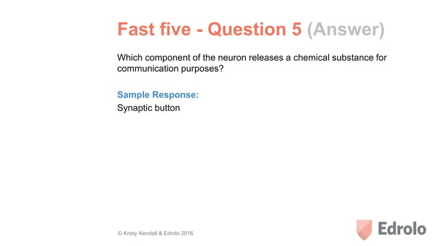 Lesson 4 the neuron | PPTX | Brain and Nervous System Disorders | Diseases and Conditions