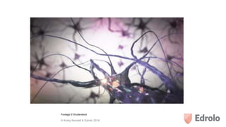 Lesson 4 the neuron | PPTX