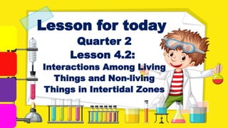 Lesson 4 - Week 4 Estuaries and Intertidal Zones.pptx