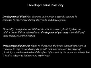 Lesson 4 & 5 plasticity of the brain | PPT