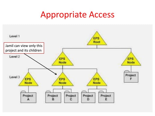 Lesson 4_5 Primavera 2.pptx..Enterprise Project Structure | PPTX