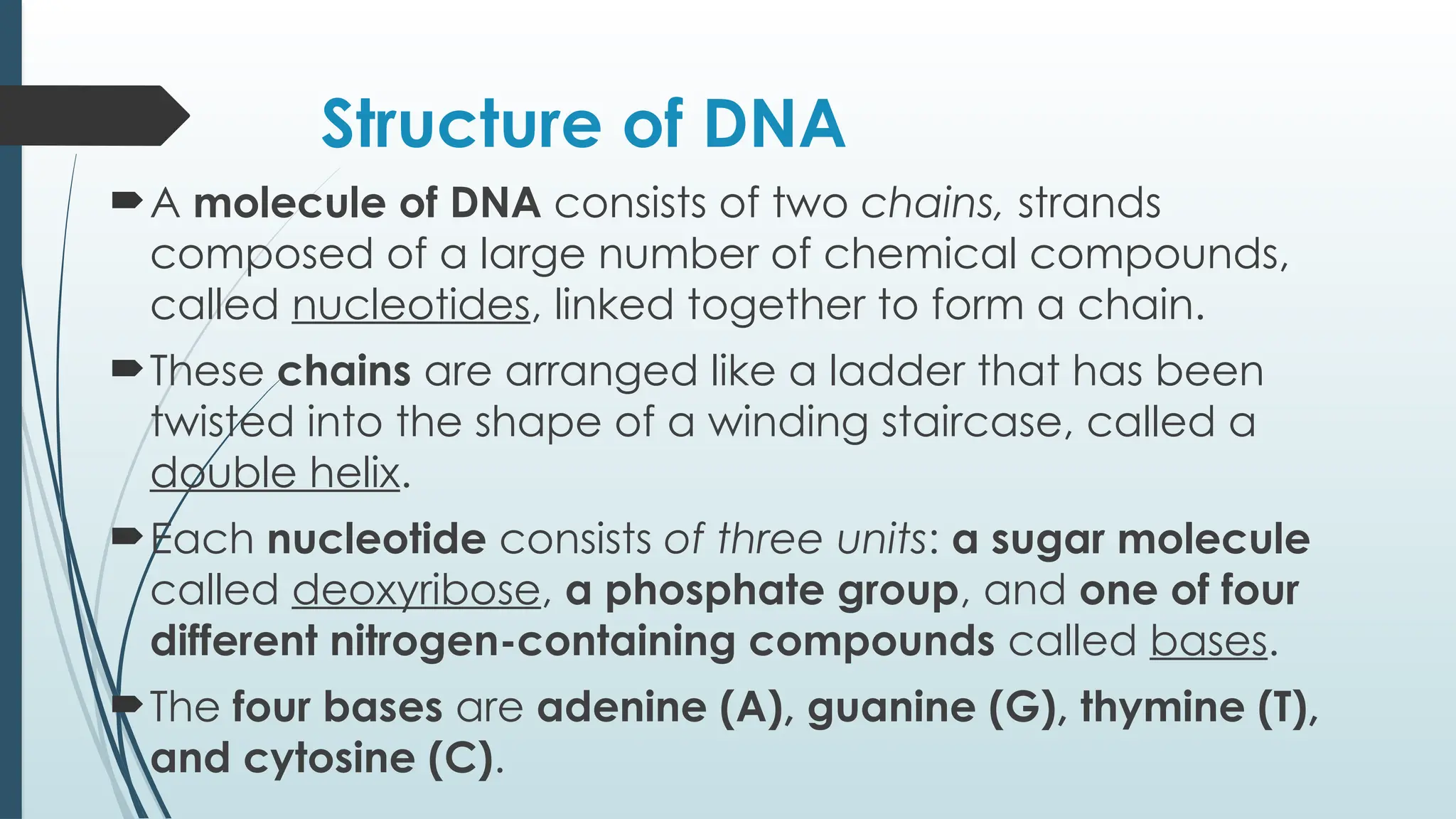 Biology 2: The Lesson 4 and the DNA.pptx