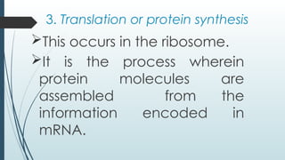 Biology 2: The Lesson 4 and the DNA.pptx