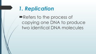 Biology 2: The Lesson 4 and the DNA.pptx