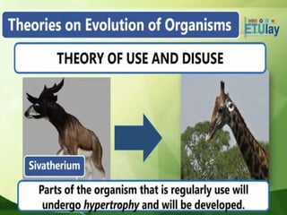 Earth and Life Science Grade 11 Lesson 4 Basic Mechanisms of Evolution.ppt