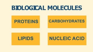 Lesson 4 Biological MacroMolecules.pptx