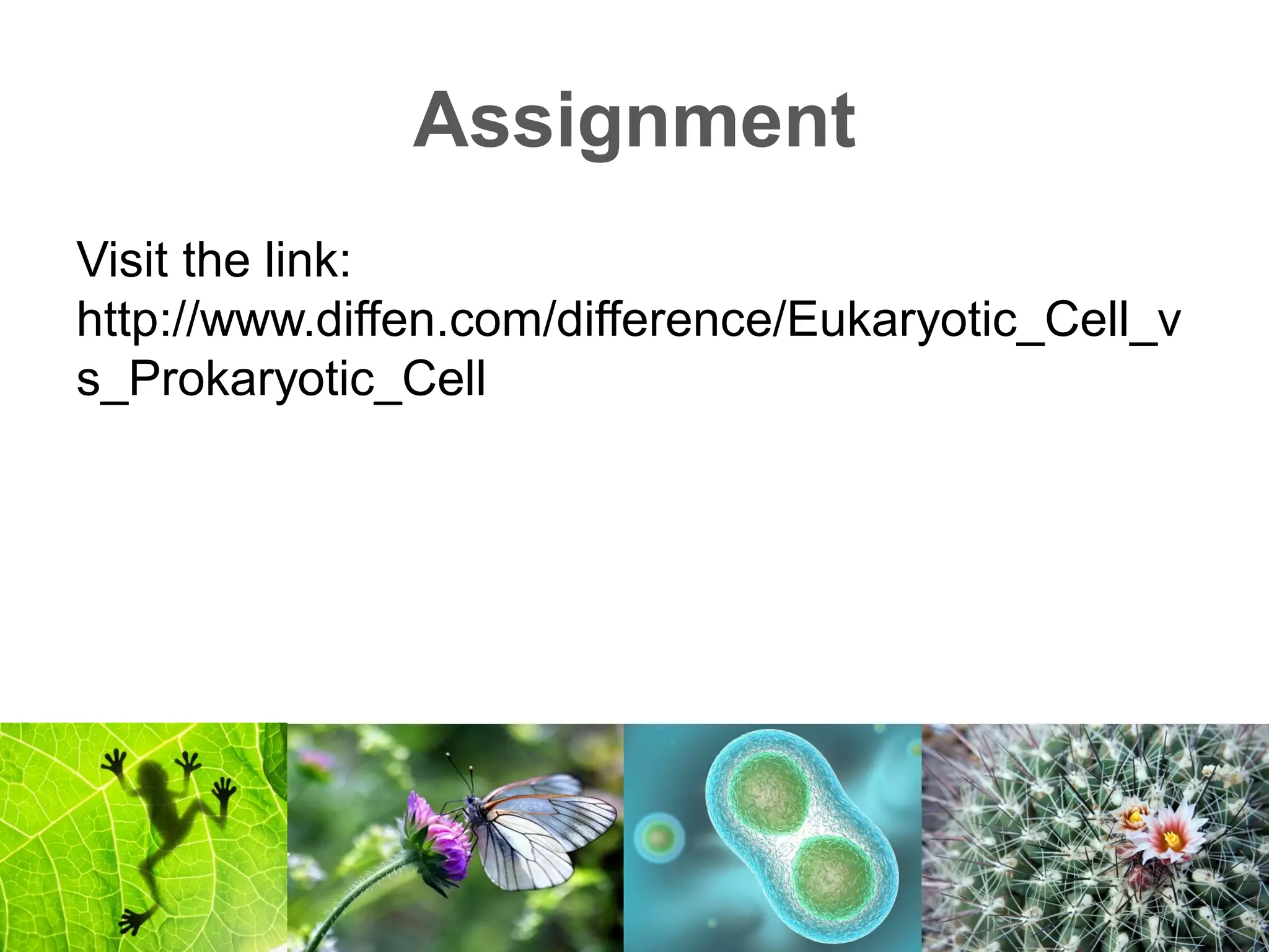 Lesson 4 Cell Modifications | PDF