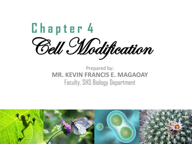 Lesson 4 Cell Modifications | PDF | Biological Sciences | Science