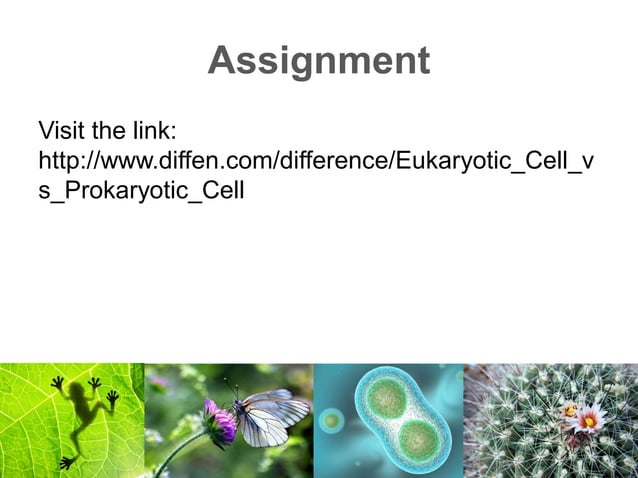 Lesson 4 Cell Modifications | PDF | Biological Sciences | Science