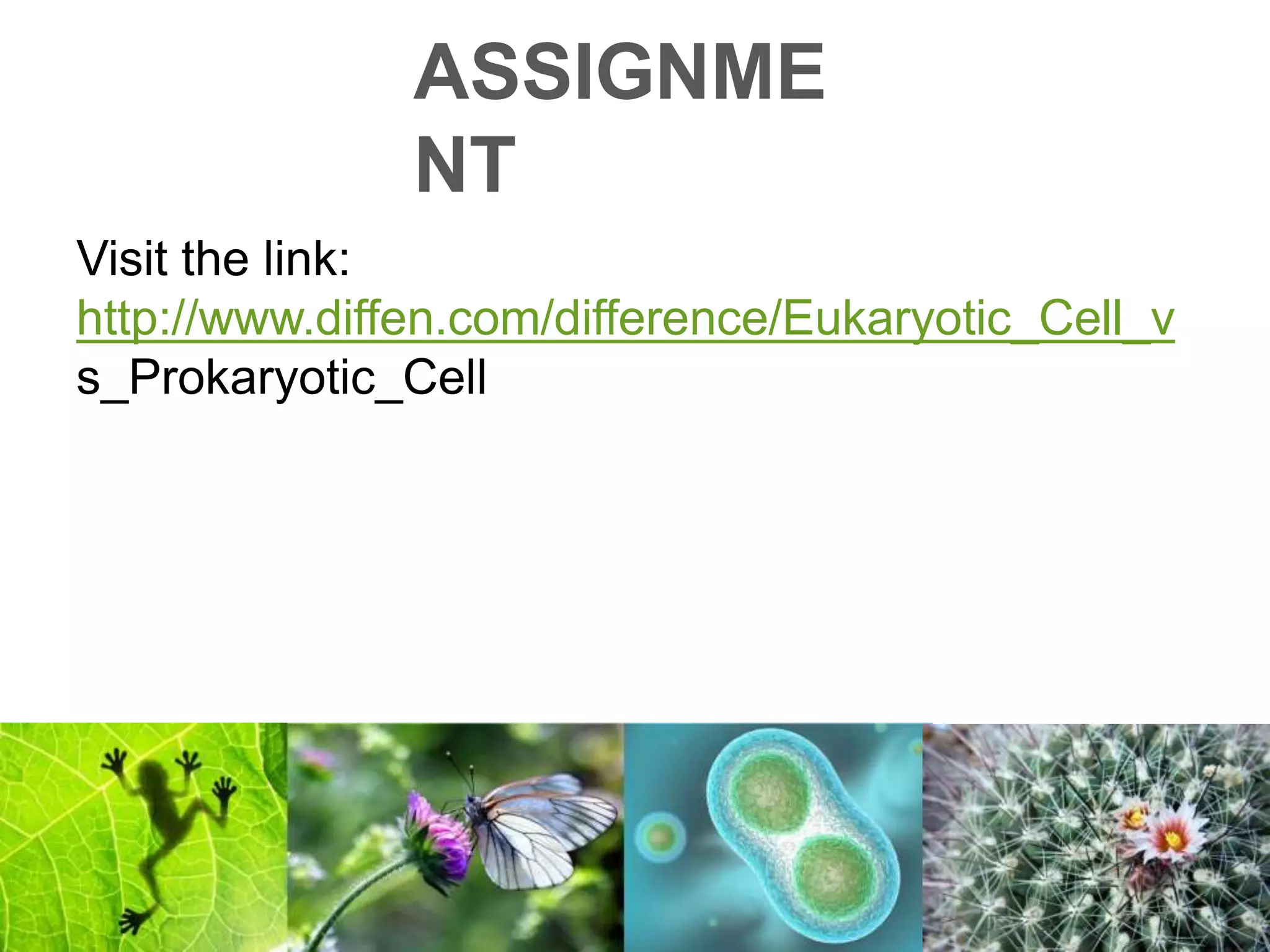Lesson4 cell modifications | PPTX