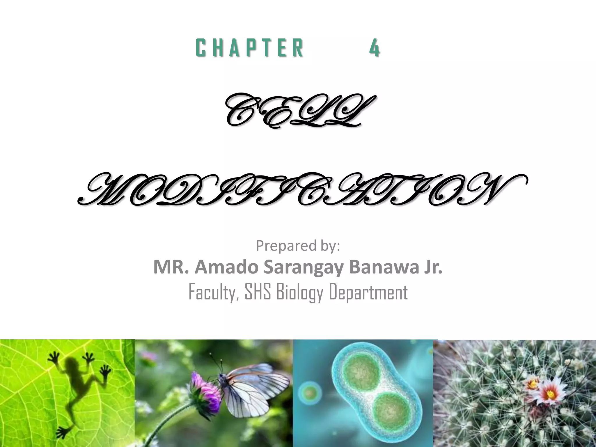 Lesson4 cell modifications | PPTX