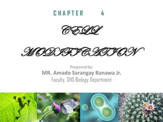 Lesson4 cell modifications | PPTX