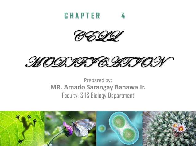 Lesson4 cell modifications | PPTX