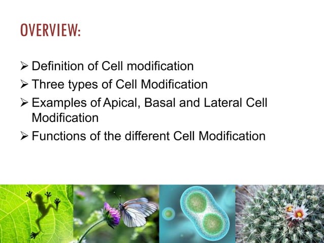 Lesson4 cell modifications | PPTX