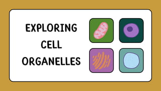 LESSON 4_CELL ORGANELLES and their types | PDF