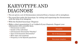 Lesson 4 chromosomal anomalies | PPTX
