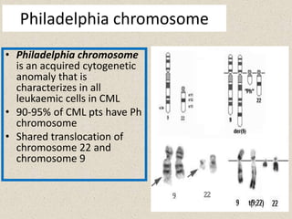 Lesson 4 chronic myeloid leukemia - CML.ppt