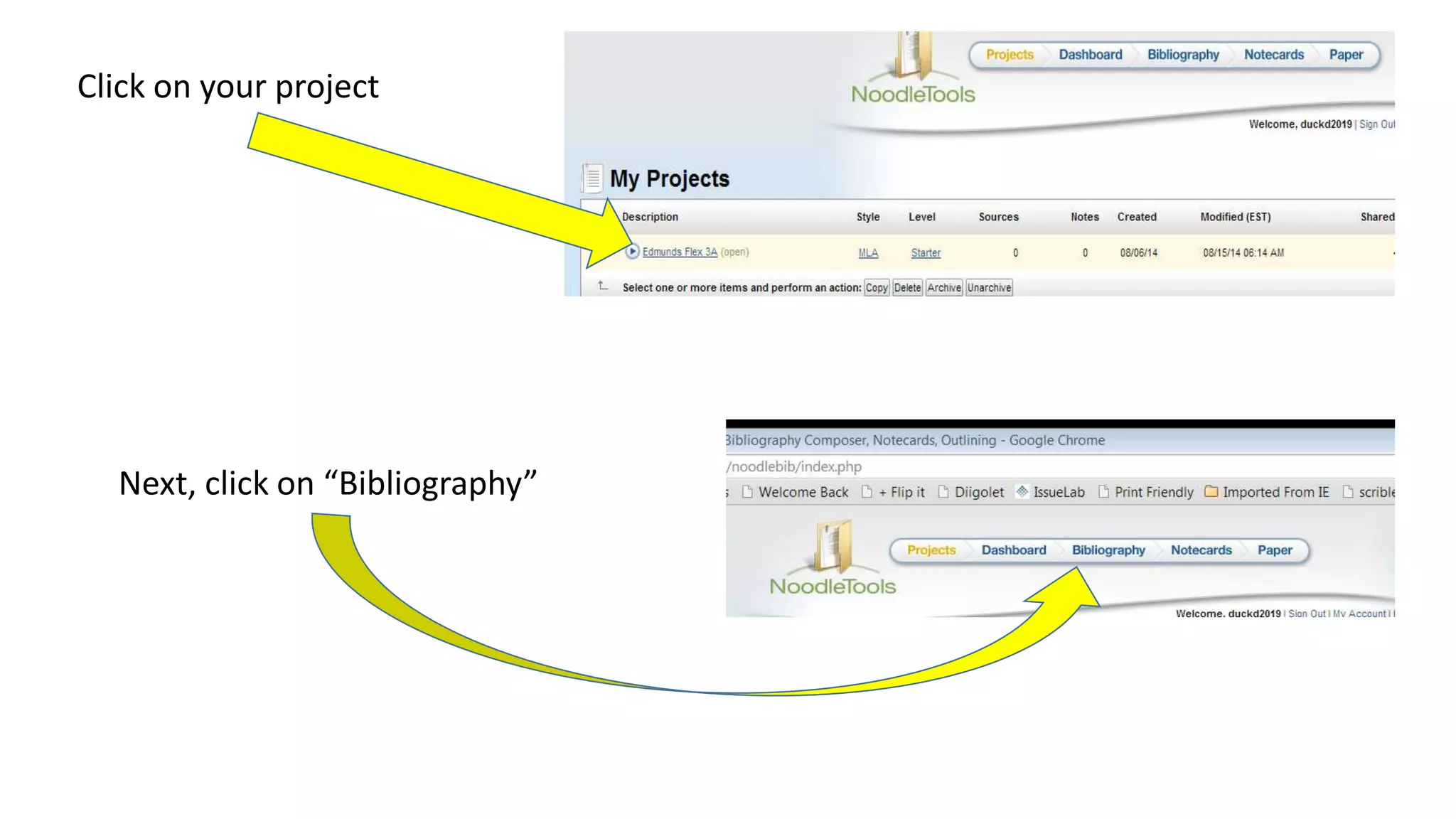 Lesson 4 citing a website or webpage in noodletools | PPTX