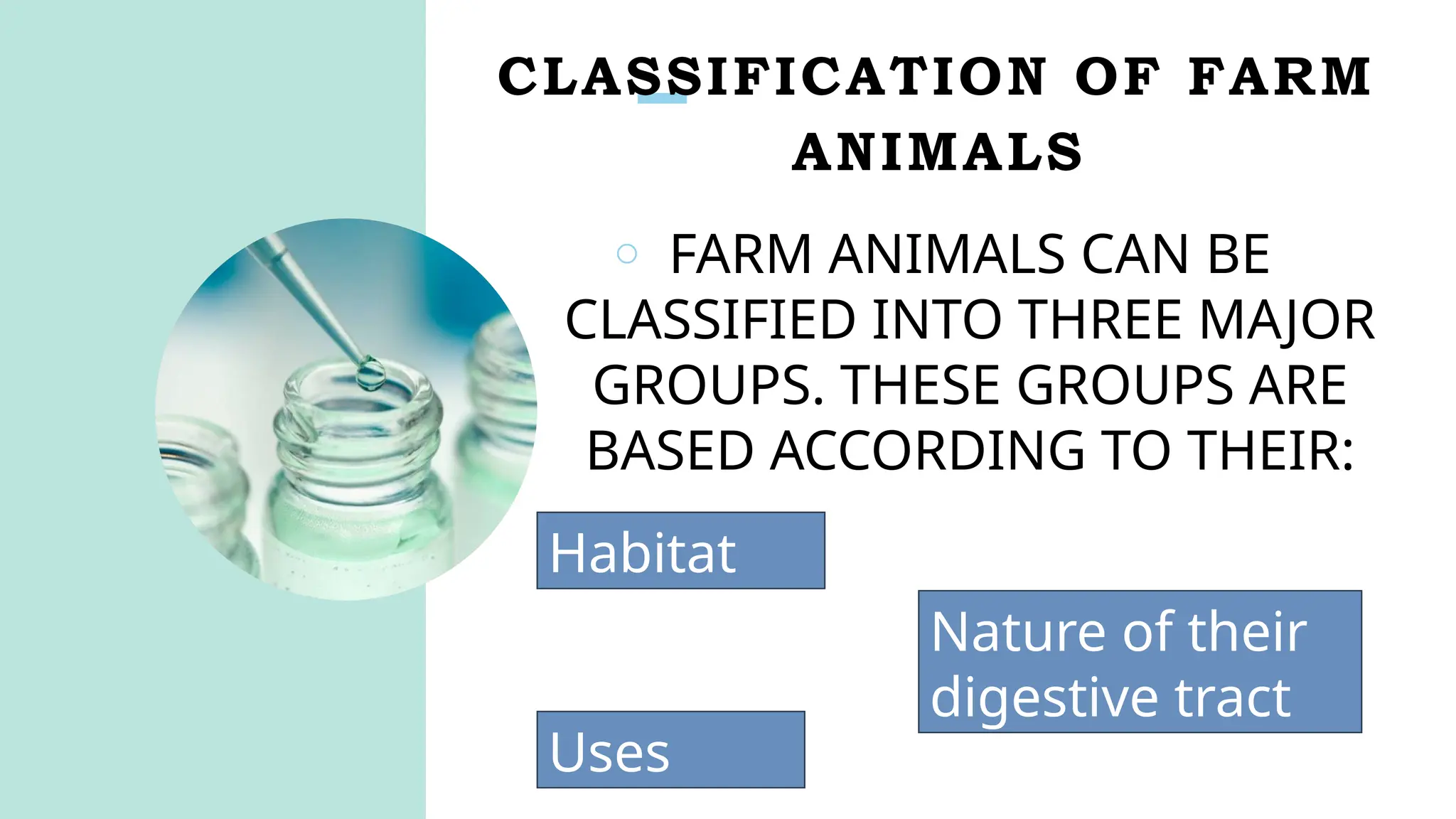 Lesson 4 Classification Of Farm Animals.pptx