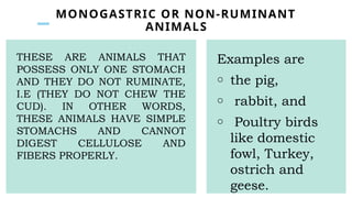 Lesson 4 Classification Of Farm Animals.pptx