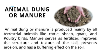 Lesson 4 Classification Of Farm Animals.pptx