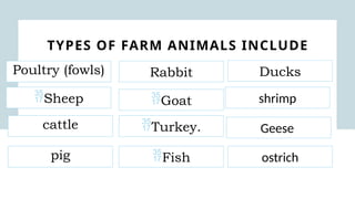 Lesson 4 Classification Of Farm Animals.pptx