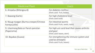 lesson 4 complementary and alternative health care modalities.pptx